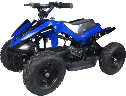 350w 24v Electric Quad ATV