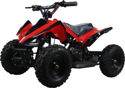 350w 24v Electric Quad ATV